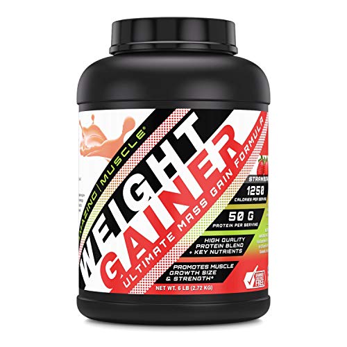Top 10 Lean Weight Gainer Protein of 2022 - Katynel