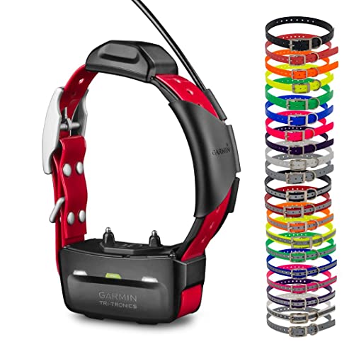 Unleash Your Dog's Potential: Top 10 TT15X Collars Reviewed and Buying ...
