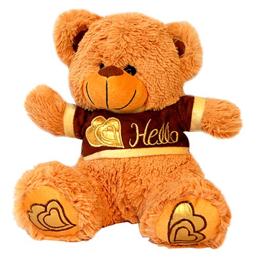 Buy Hello Teddy Bear Online at Low Prices in India - Amazon.in