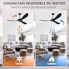 Amazon.com: Eliora 52 Inch Ceiling Fan without Lights, Wood Ceiling ...