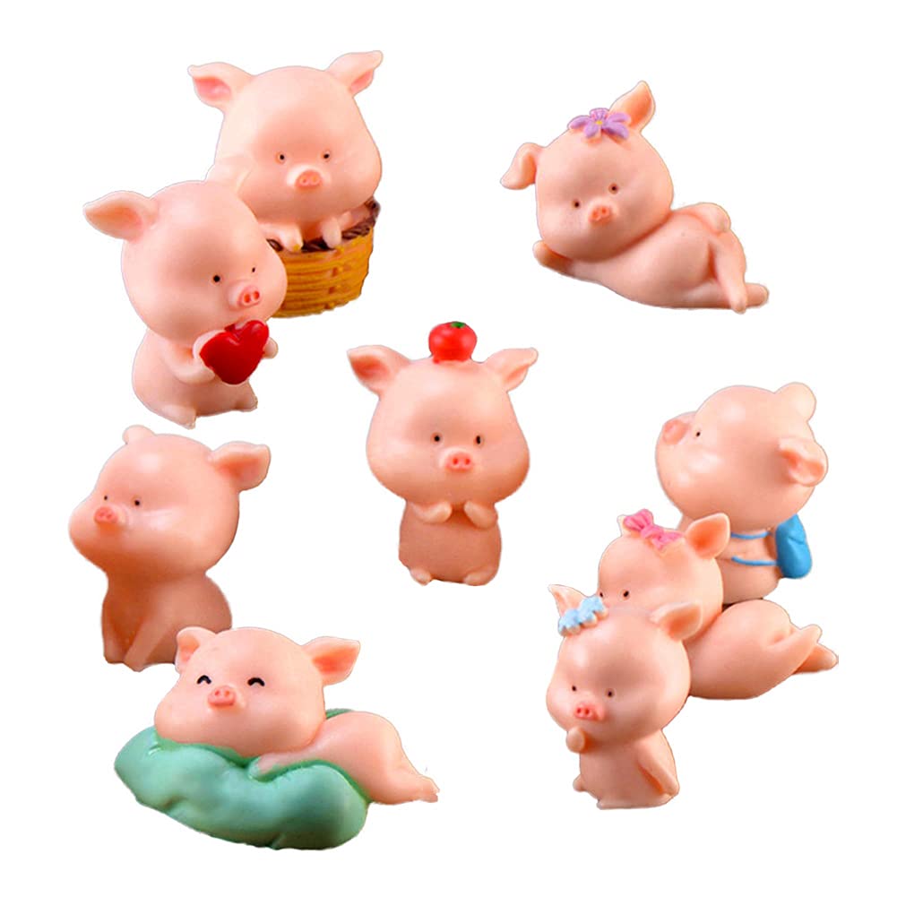 Cute Teacup Pig Birthday
