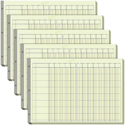 Amazon.com : National Analysis Pad, 13 Columns, Green Paper, 11 x 16. ...