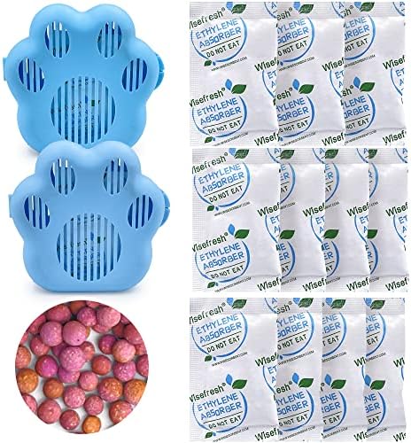 Amazon.com: Wisesorb 20PCS 10 Gram Ethylene Gas Absorber Packet ...