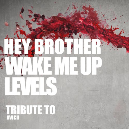 Écouter Hey Brother, Wake Me Up, Levels: Tribute to Avicii par DJ Kee ...