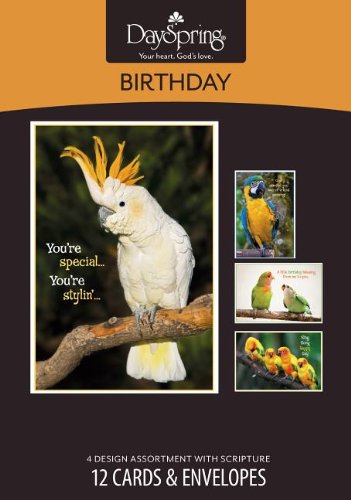 Birthday Cards - Feathered Friends (Dayspring 6299-2) Box of 12, 4 ...