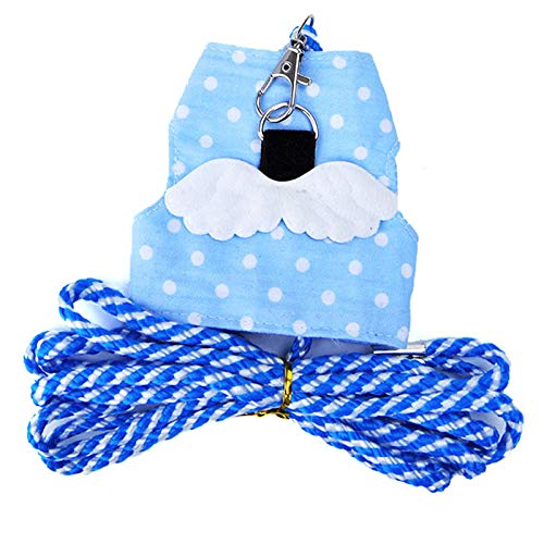 Buy Squirrel Harness, Adjustable Angle Wings Harness, Small Animal Vest ...