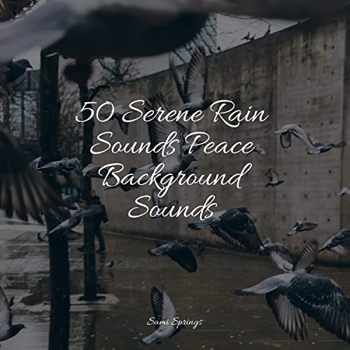Amazon MusicでMeditation Music Club, Brown Noise & Relaxing Sounds of ...