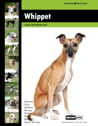 Whippet.: Na: 9789058218414: Amazon.com: Books