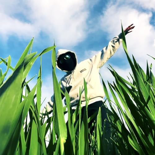 Play La Flamme, Pt. 2 by Romsii feat. Sir Lexa on Amazon Music