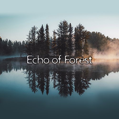 Amazon.com: Echo of Forest: Gentle Vibes Deep from Woodland, Relaxation ...