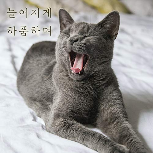 Amazon.co.jp: 늘어지게 하품하며 Yawning droopy : 셀바이뮤직 Sellbuymusic: デジタルミュージック