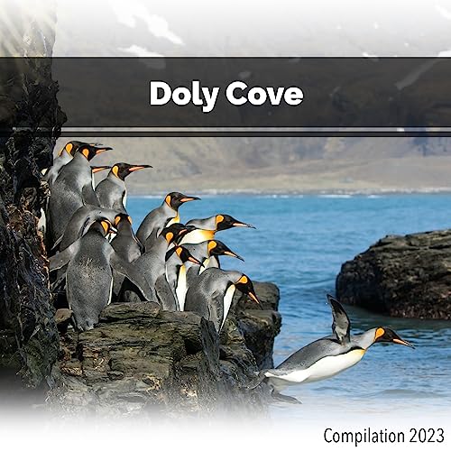 Écouter Doly Cove Compilation 2023 par John Toso, Mauro Rawn & Benny ...