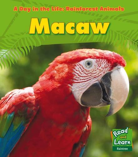 Buy Macaw (A Day in the Life: Rain Forest Animals) Book Online at Low ...