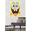 Amazon.com: Trends International Nickelodeon Spongebob - Face Wall ...