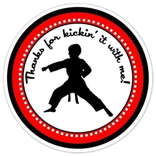 Amazon.com: 36 Birthday Stickers, Karate Birthday stickers, Karate Boy ...