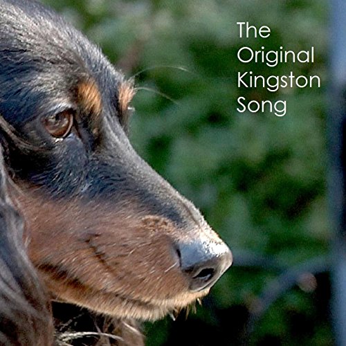 Play "the Original Kingston Song" (feat. Colton Frost, Mr. Matt & A&A ...