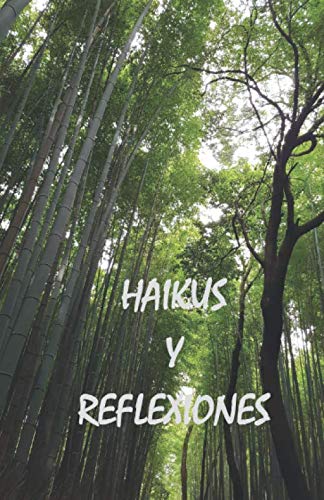 HAIKUS y REFLEXIONES (Spanish Edition): Castro, Manuel: 9781691083572 ...