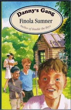 Danny's Gang: Sumner, Finola: 9781853713309: Amazon.com: Books