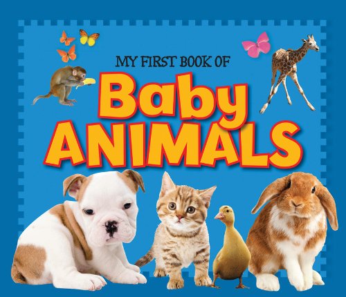 My First Book of Baby Animals (My First Board Books): The Book Company ...