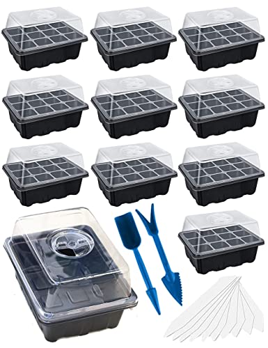 Amazon.com.au Best Sellers: The most popular items in Plant Germination ...