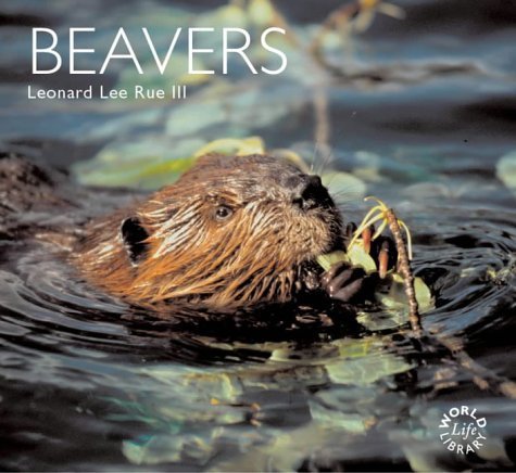 Beavers: Leonard Lee Rue: 9781841071305: Amazon.com: Books