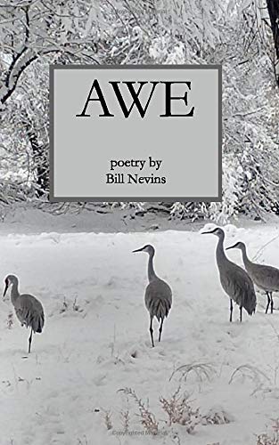 Awe: Nevins, Bill: 9781950375165: Amazon.com: Books