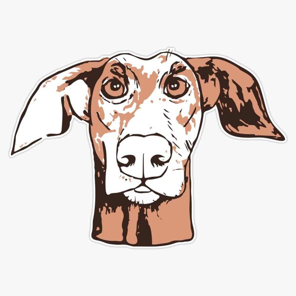 Amazon.com: Poop Funny Set of 3-3" Vinyl Sticker - for Car Laptop I-Pad ...