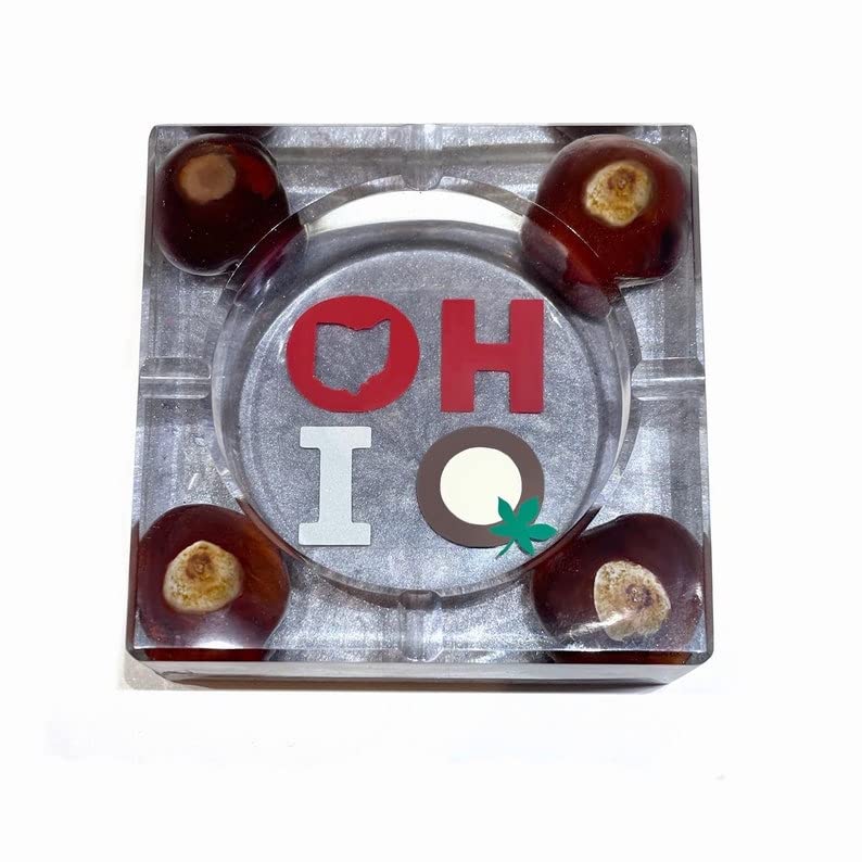 Amazon.com: State of OHIO Buckeye Ashtray, Game Day Party Decor ...