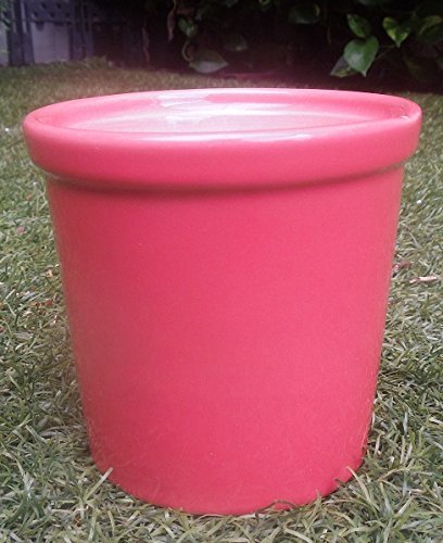 CAPPL Shiny Red Round Ceramic Pot (Pack of 3) : Amazon.in: Garden ...