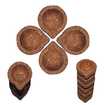 Buy Panchagavya Diya | Cow Dung Vilakku (40 Pcs) | Panjakavya Vilakku ...