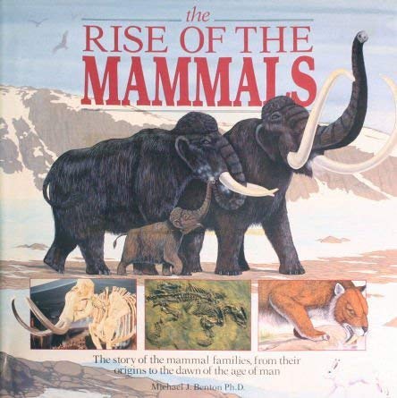 Rise of the Mammals: Rh Value Publishing: 9780517025611: Amazon.com: Books