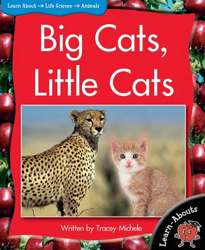 Amazon.com: Big Cats, Little Cats (LearnAbouts Level 9): 9781599205953 ...