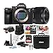Amazon.com : Sony a7 III Full-Frame Mirrorless Camera with 28-70mm Lens Bundle with Lens ...