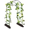 Amazon.com : Yotoworth Garden Arch Cucumber Trellis for Climbing Plants ...