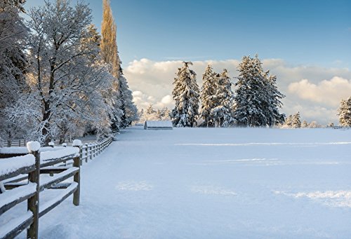 Yeele 5x4ft Winter Nature Landscape Backdrop White Snowfield Forest ...