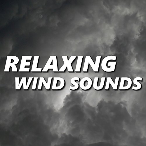 Amazon.com: Relaxing Wind Sounds : Wind Sounds: Digital Music