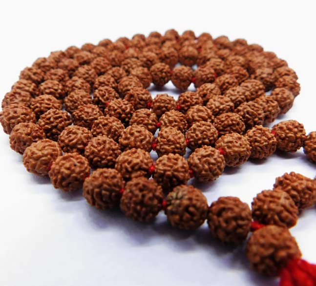 Cuonna Gems Gallery 5 Mukhi Rudraksha Mala Original Certified 108 Beads ...