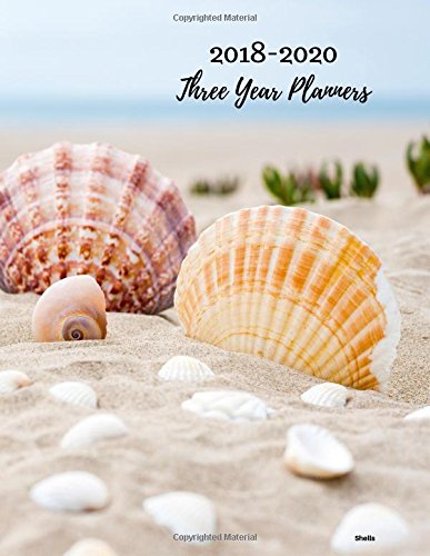 2018 - 2020 Shells Three Year Planner: 2018-2020 Monthly Schedule ...