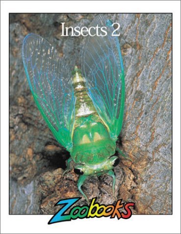 Insects 2 (Zoobooks Series) by John Bonnett Wexo (1999-02-01): John ...