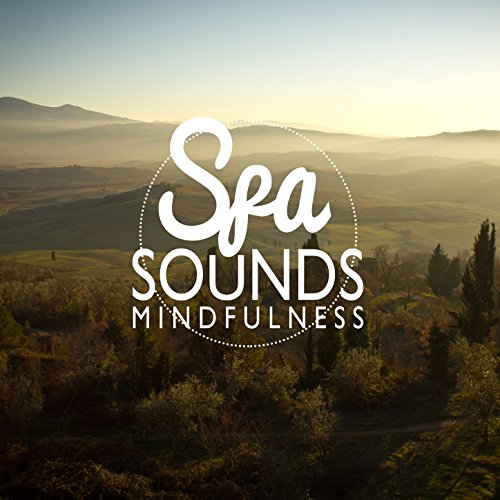 Amazon.com: Spa Sounds: Mindfulness : Outside Broadcast Recordings ...