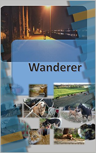 wanderer (animal) eBook : Chen Yi, Wang : Amazon.in: Kindle Store