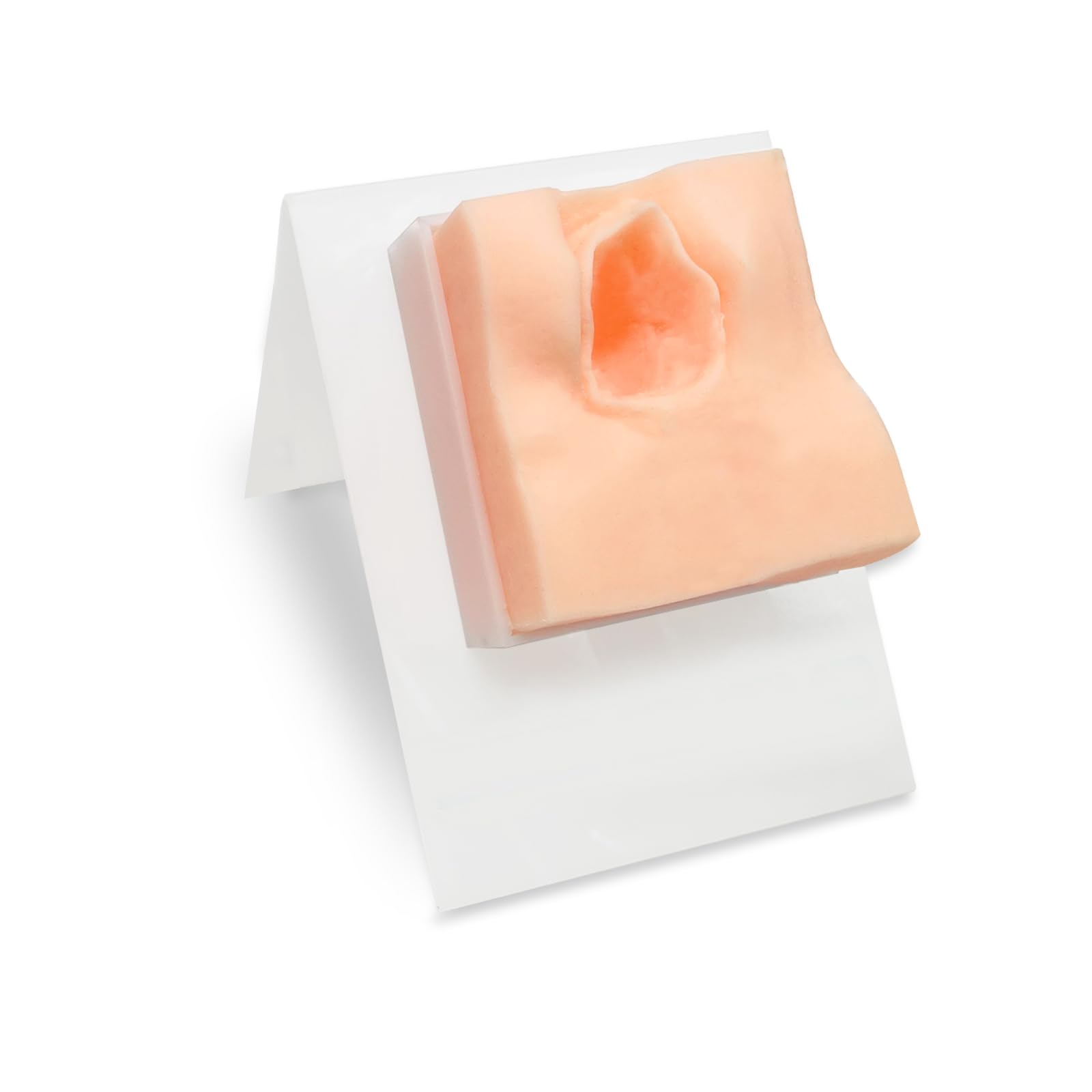 Snapklik.com : Perineal Suturing Model Perineal Repair Practice Model ...