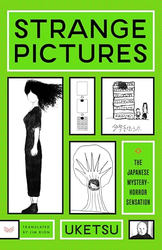 Download Strange Pictures: A Novel Paperback – January 14, 2025 ...