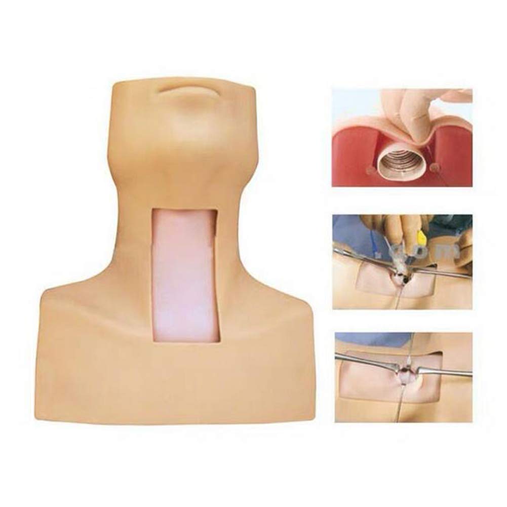 Buy GHDE& Life Size, Tracheostomy And Intubation Training Model ...