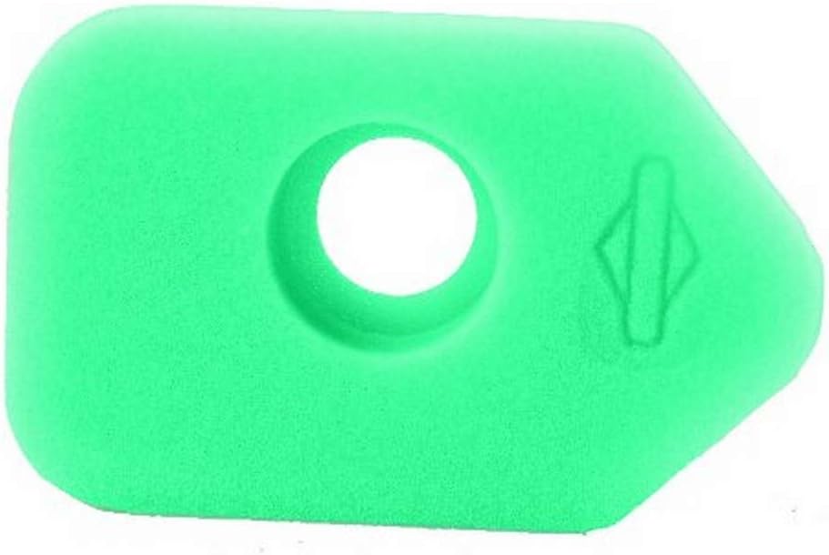 Amazon.com : Briggs & Stratton 272235S Air Filter Foam Element : Lawn ...