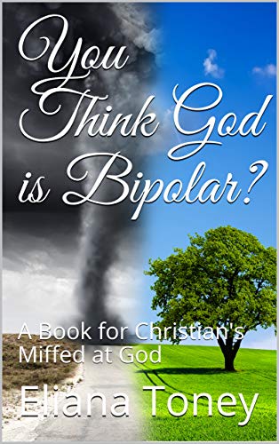 You Think God is Bipolar?: A Book for Christian's Miffed at God eBook ...