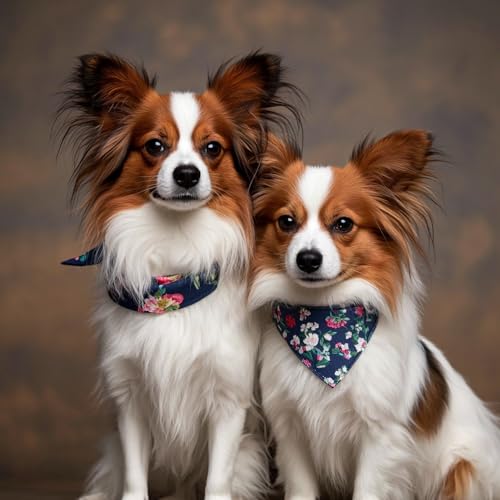 Play Papillon Butterfly Ears by ideal-earth-friends on Amazon Music ...