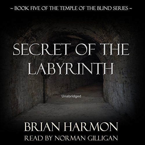 Amazon.com: Secret of the Labyrinth: The Temple of the Blind, Book Five ...