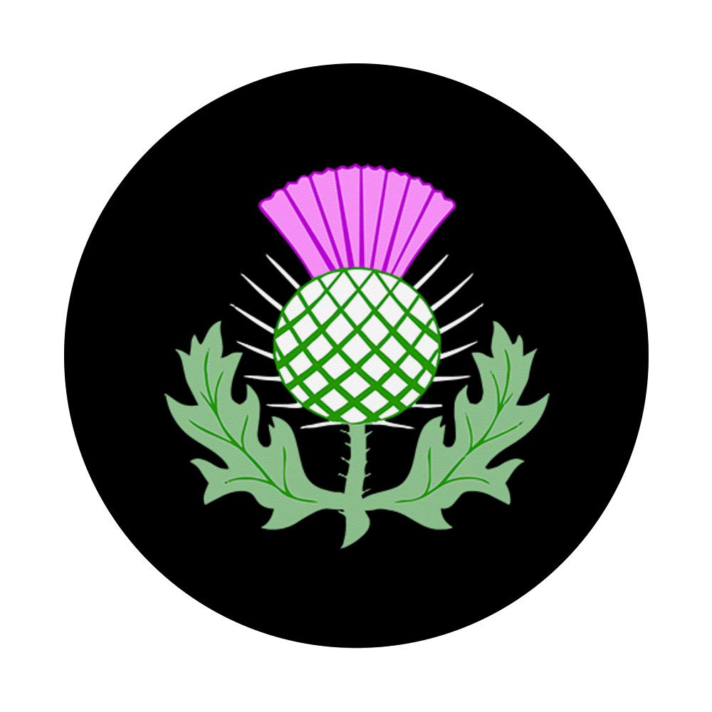 Scottish Thistle Symbol