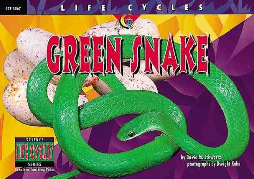 Green Snake (Life Cycles): Schwartz, David M.: 9781574715576: Amazon ...